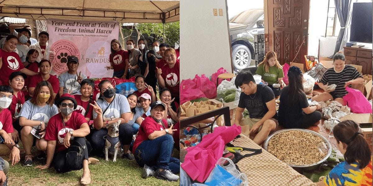 150 volunteers in Luzon: 22-year-old woman gains support for stray ...